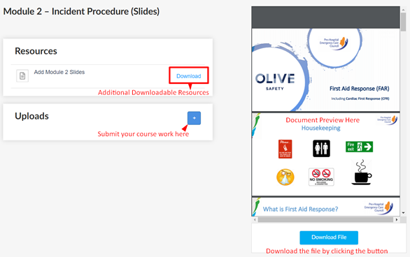 Myportfolio - Article - Week Specific Programmes Only – Olive